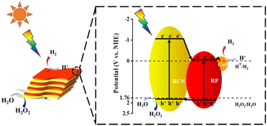 CoP decorated 2D/2D red phosphorus/B doped g-C3N4 type II ...