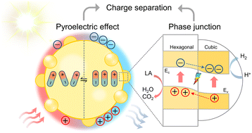 Pyroelectric effects in CdS phase junctions for dual-enhanced ...