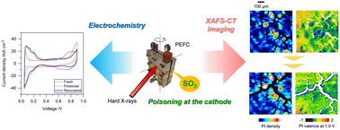 Spatial imaging of catalyst poisoning with SO2 on Pt/C PEFC ...
