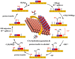 Insights into the mechanism of carboxylic acid hydrogenation into ...