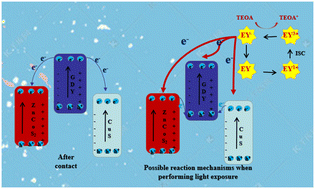 Graphdiyne (CnH2n−2) coupled with ZnCo-MOF double S-scheme ...