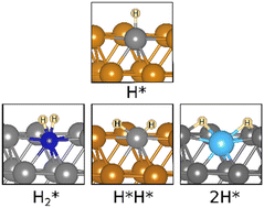 Hydrogen complexes on single atom alloys: classical chemisorption ...
