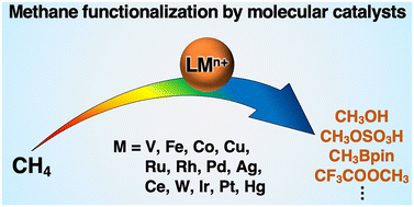 Functionalization of methane using molecular metal complexes as ...