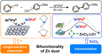 Bifunctionality of Zn dust in Ullmann C–C cross-coupling by Ni/Pd dual ...
