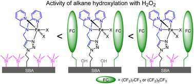 Oxygenase mimicking immobilised iron complex catalysts for alkane ...