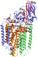 Methane monooxygenases; physiology, biochemistry and structure ...