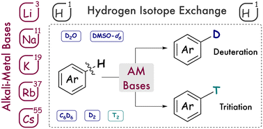 Alkali-metal bases in catalytic hydrogen isotope exchange processes ...