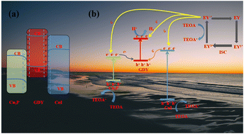 Phosphating core–shell graphdiyne/CuI/Cu3P S-scheme heterojunction ...