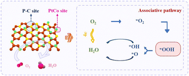 Insights into the synergistic catalytic mechanism on the customized ...