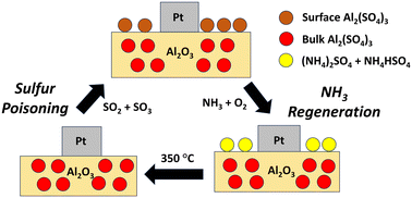 Low temperature NH3 regeneration of a sulfur poisoned Pt/Al2O3 monolith ...