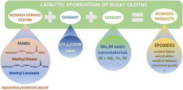 Bulky olefin epoxidation under mild conditions over Mo-based oxide ...