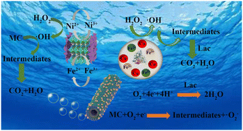 New synthetic strategy toward a natural enzyme–nanozyme hybrid dual ...