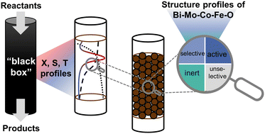 Exploring structure, temperature and activity correlations in the ...