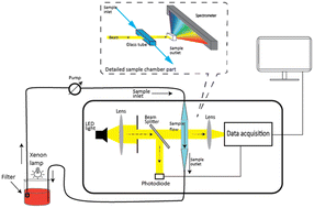 In situ dynamic monitoring of the photodegradation process through ...