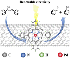 Molecular palladium catalyst enabling efficient electrochemical C–C ...