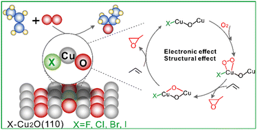Investigating the mechanism of propylene epoxidation over halogen (X ...