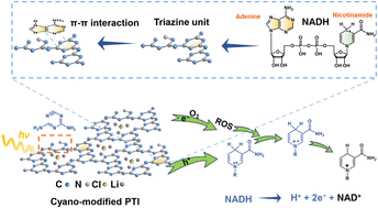 Cyano-modified poly(triazine imide) with extended π-conjugation for ...
