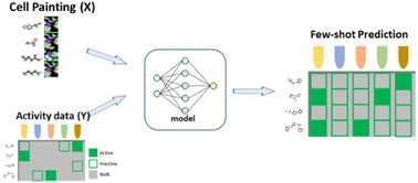 FSL-CP: a benchmark for small molecule activity few-shot prediction ...