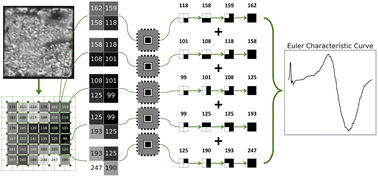 A fast and scalable computational topology framework for the Euler characteristic - Digital ...