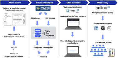 Chebifier: automating semantic classification in ChEBI to accelerate ...