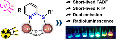 A family of CuI-based 1D polymers showing colorful short-lived TADF and ...