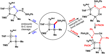 Selective Si–C(sp3) bond cleavage of a silyl-bridged amido alkyl ligand ...