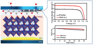 A trifunctional polyethylene oxide buffer layer for stable and efficient all-inorganic CsPbBr3 ...