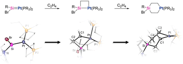 Reactivity of Pt(0) bromosilylene complexes towards ethylene - Dalton ...