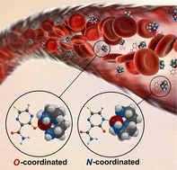 A tris(2-aminoethyl)amine-based zinc complex as a highly water-soluble ...