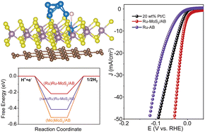 Ruthenium doping in the MoS2/AB heterostructure for the hydrogen ...