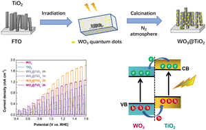 Construction of WO3 quantum dots/TiO2 nanowire arrays type II ...