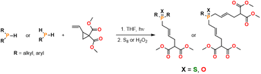 UV induced hydrophosphination of dimethyl 2-vinylcyclopropane-1,1 ...