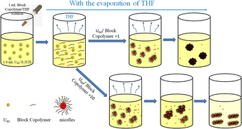 Hydrogen bonding and phase separation cooperatively guide the self ...