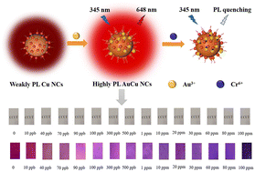 Facile fabrication of an Au/Cu bimetallic nanocluster-based fluorescent ...