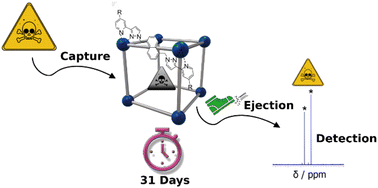 The preservation of sarin and O,O′-diisopropyl fluorophosphate inside ...