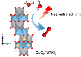 Driving a NiTiO3 photocatalyst for the oxygen evolution reaction with ...