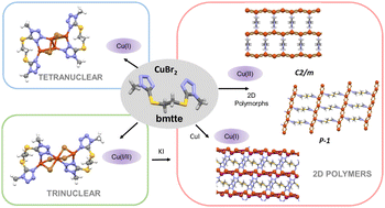 From Cu(i) and Cu(i)–Cu(ii) mixed-valence clusters to 2D Cu(ii) and Cu ...