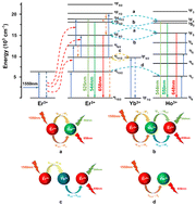 Co-doping of Ho–Yb ion pairs modulating the up-conversion luminescence ...
