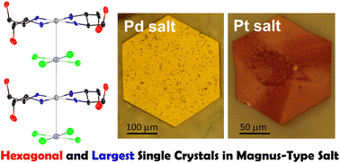 Hexagonal crystalline Magnus’ green salt analogues prepared from ...