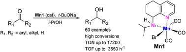 Robust and efficient transfer hydrogenation of carbonyl compounds ...