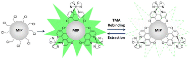An Ir(iii) cyclometalate-functionalized molecularly imprinted polymer ...