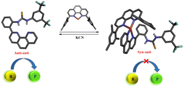 Interplay between anti–anti and syn–anti conformations of thiourea ...