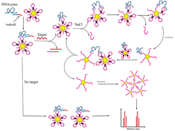 Sensitive detection of microRNA by dynamic light scattering based on ...