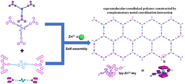 A fluorescent controllable supramolecular crosslinked polymer ...