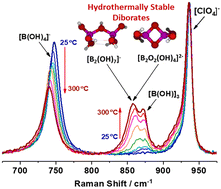 A Raman spectroscopic and ab initio investigation of aqueous boron ...