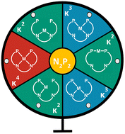 Kappa what? Insights into the coordination modes of N2P2 ligands ...