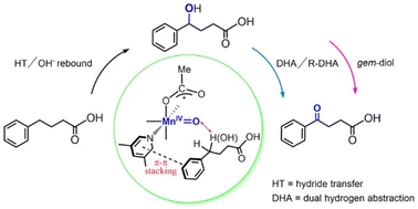 The elusive reaction mechanism of Mn(ii)-mediated benzylic oxidation of ...
