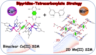 Binuclear cobalt(ii) and two-dimensional manganese(ii) coordination ...