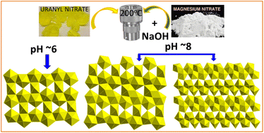 Filling the gaps of uranium oxide hydrates with magnesium(ii) ions ...