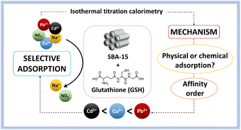 Competitive adsorption mechanisms of Cd(ii), Cu(ii) and Pb(ii) on ...